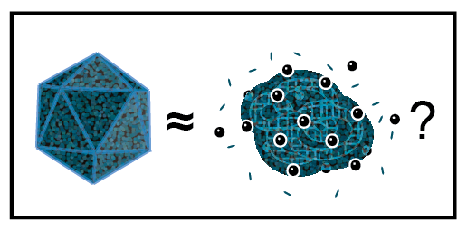 What do TransIT® Transfection Reagents have in common with viral ...